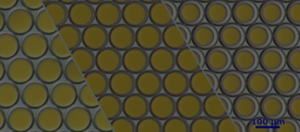 Storefront - Fluigent