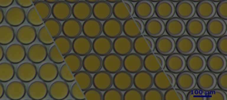 Storefront - Fluigent